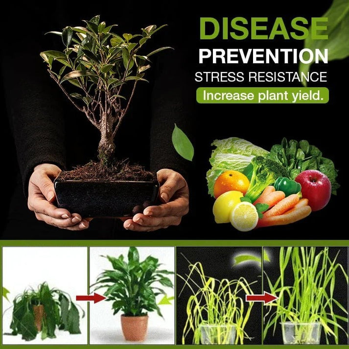 aldorian™-Soil Activated Treasure-You Will Be Amazed🌿