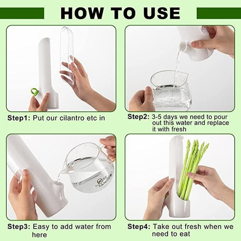 🌿 Vegetable Preservation Bottle - Preservation Storage Container – aldorian